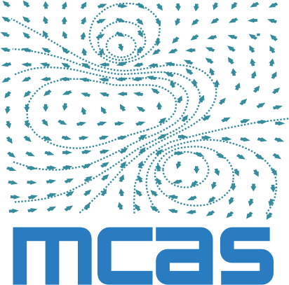 L+NLA Organization Committee | master universitario en ciudad y ...